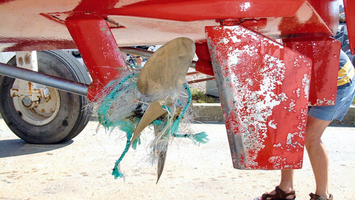 Report lobster pot and fishing gear entanglement, urges CA and RYA ...