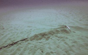 How to choose the right anchor