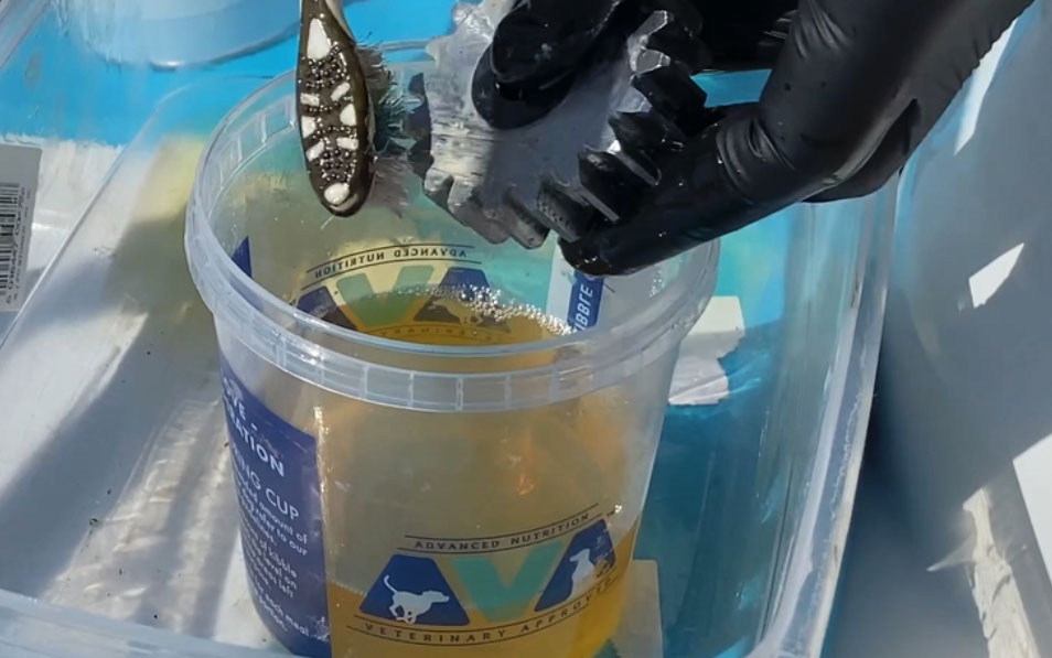 How to service a winch - video guide - Yachting Monthly