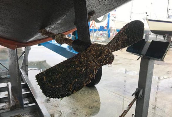 Propeller antifouling tested: Prop Defender - Yachting Monthly