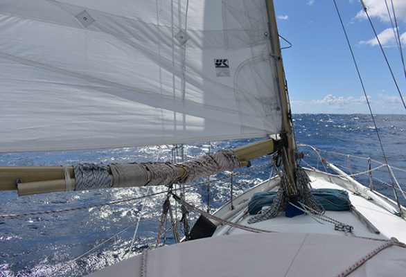 Surviving a Force 11 storm with a series drogue - Yachting Monthly