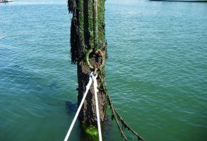 Mooring: A guide to coming alongside, rafting & traditional skills ...