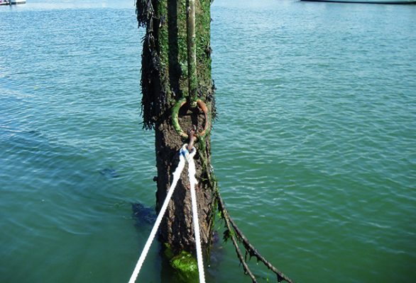 Mooring: A guide to coming alongside, rafting & traditional skills ...