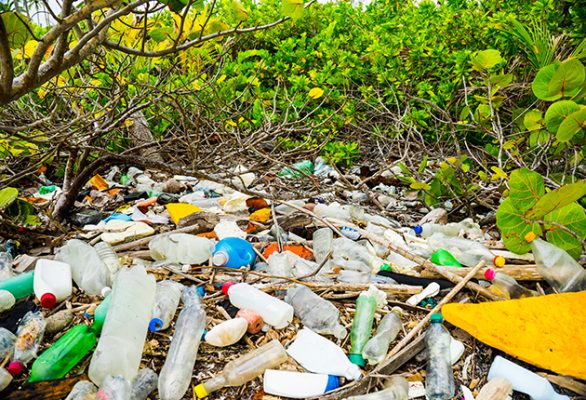 Polluted Paradise: Brian Black Memorial Award winner for 2021 - Yachting Monthly