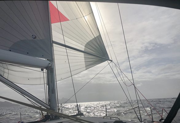 Downwind secrets of ocean sailors - Yachting Monthly