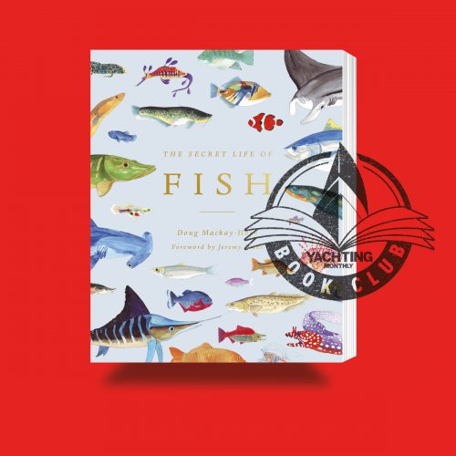 The Secret Life of Fish: Book review - Yachting Monthly