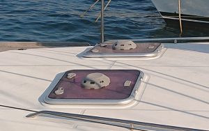 The importance of boat ventilation - Yachting Monthly