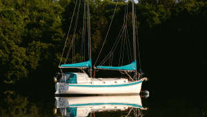 Shakedown Sail in a Freedom 33 - Yachting Monthly