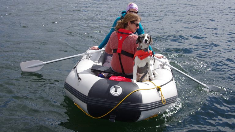 Handling & rowing a dinghy: a beginner's guide - Yachting Monthly