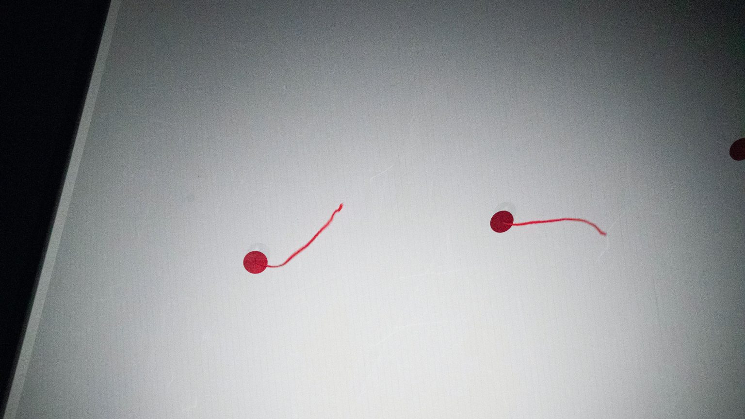 Night Sailing: A full guide to sailing in the dark - Yachting Monthly