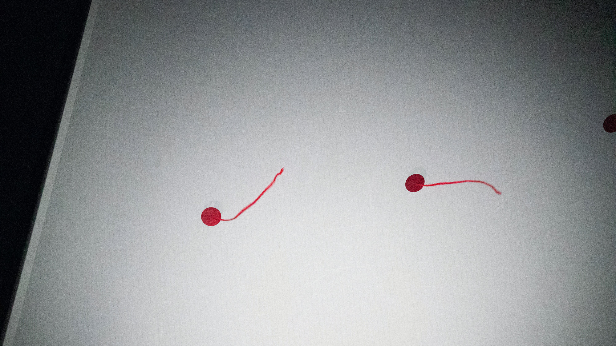 Night Sailing: A full guide to sailing in the dark - Yachting Monthly