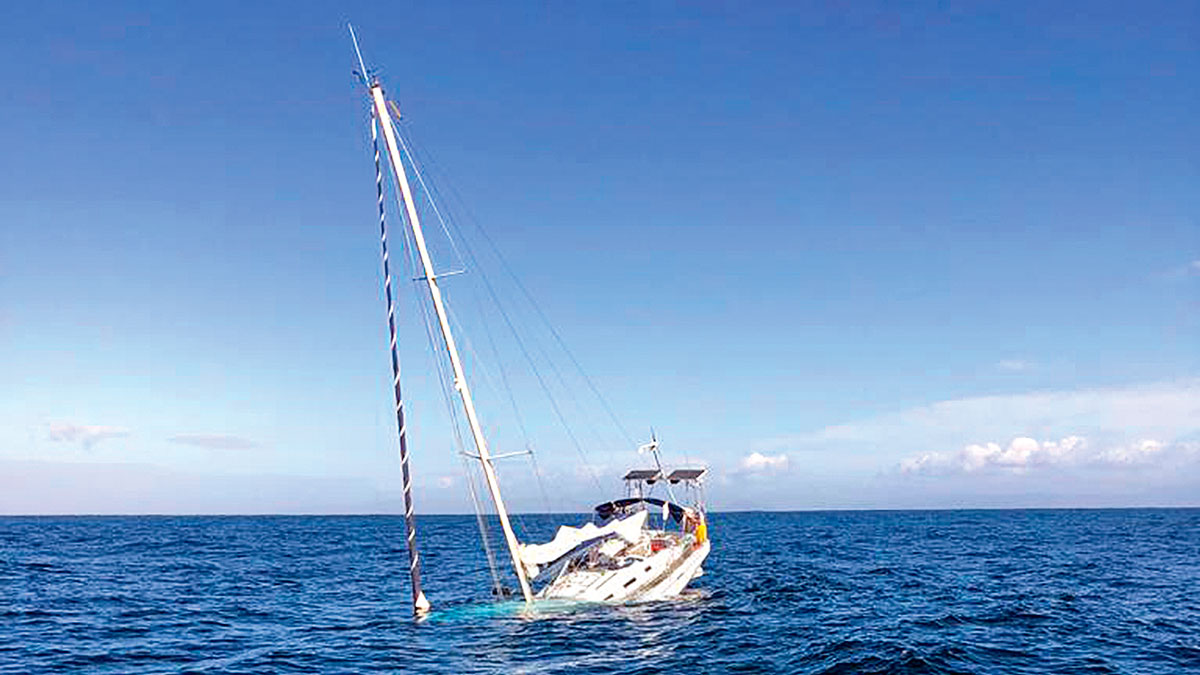 Orca interactions with boats ‘expected’ to stop - Yachting Monthly