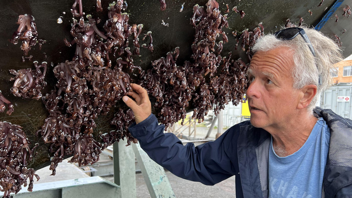 Golden Globe Race: Guy Waites - 'I will continue, even if I don't make ...