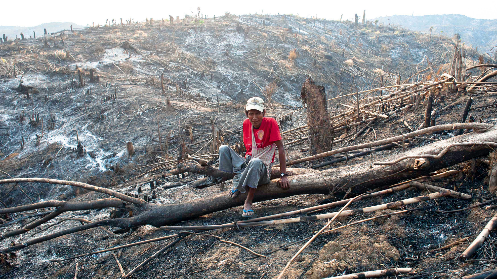 Teak wood: why the popular wood’s time is up - Yachting Monthly