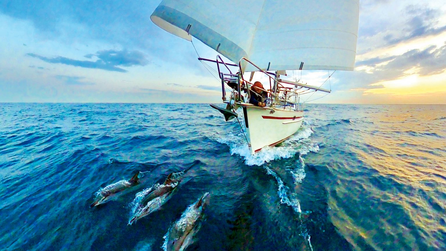 Dealing with orca attacks and how to navigate ‘Orca Alley’ - Yachting ...