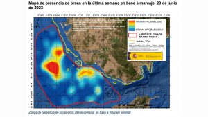 Dealing with orca attacks and how to navigate ‘Orca Alley’ - Yachting ...