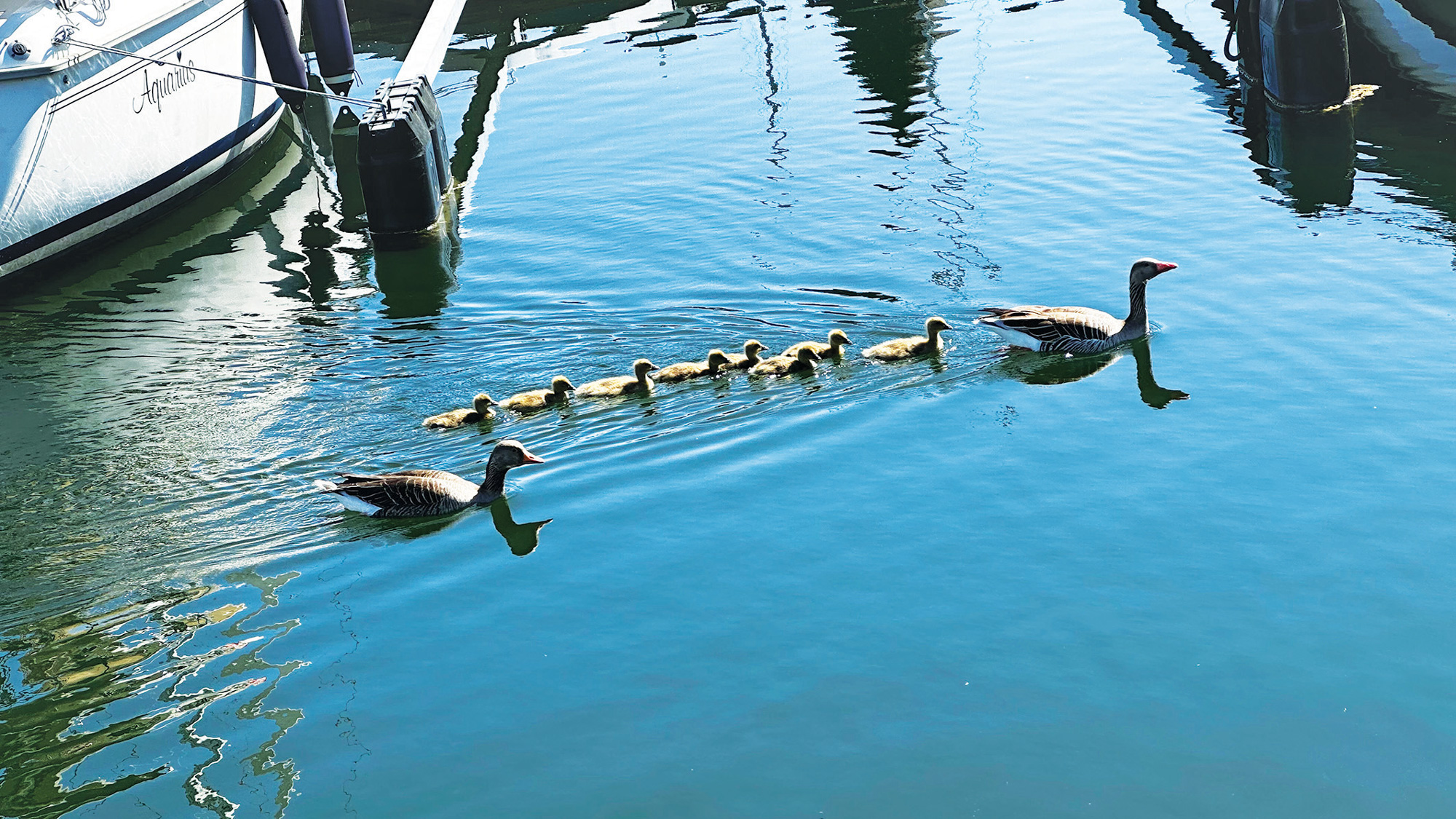 Exploring the Stockholm archipelago on an electric yacht - Yachting Monthly