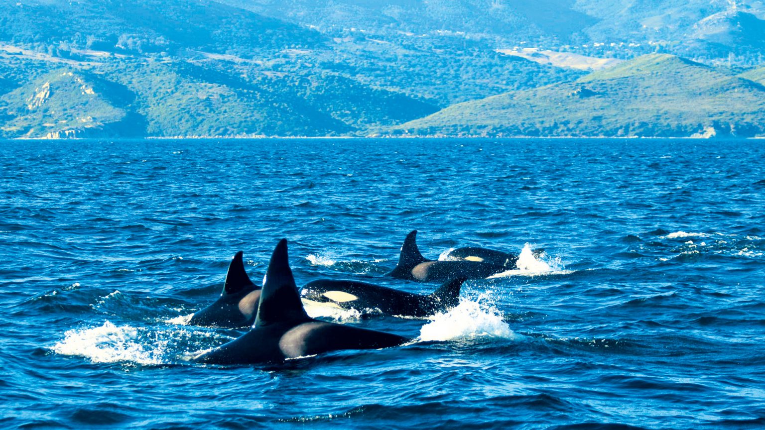 11 myths about sailing across the Atlantic that people still believe