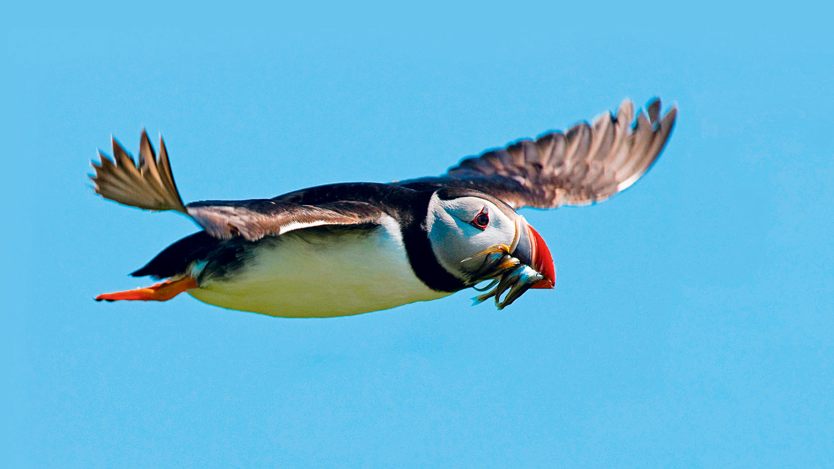 How ancient navigation techniques can still help sailors today ...