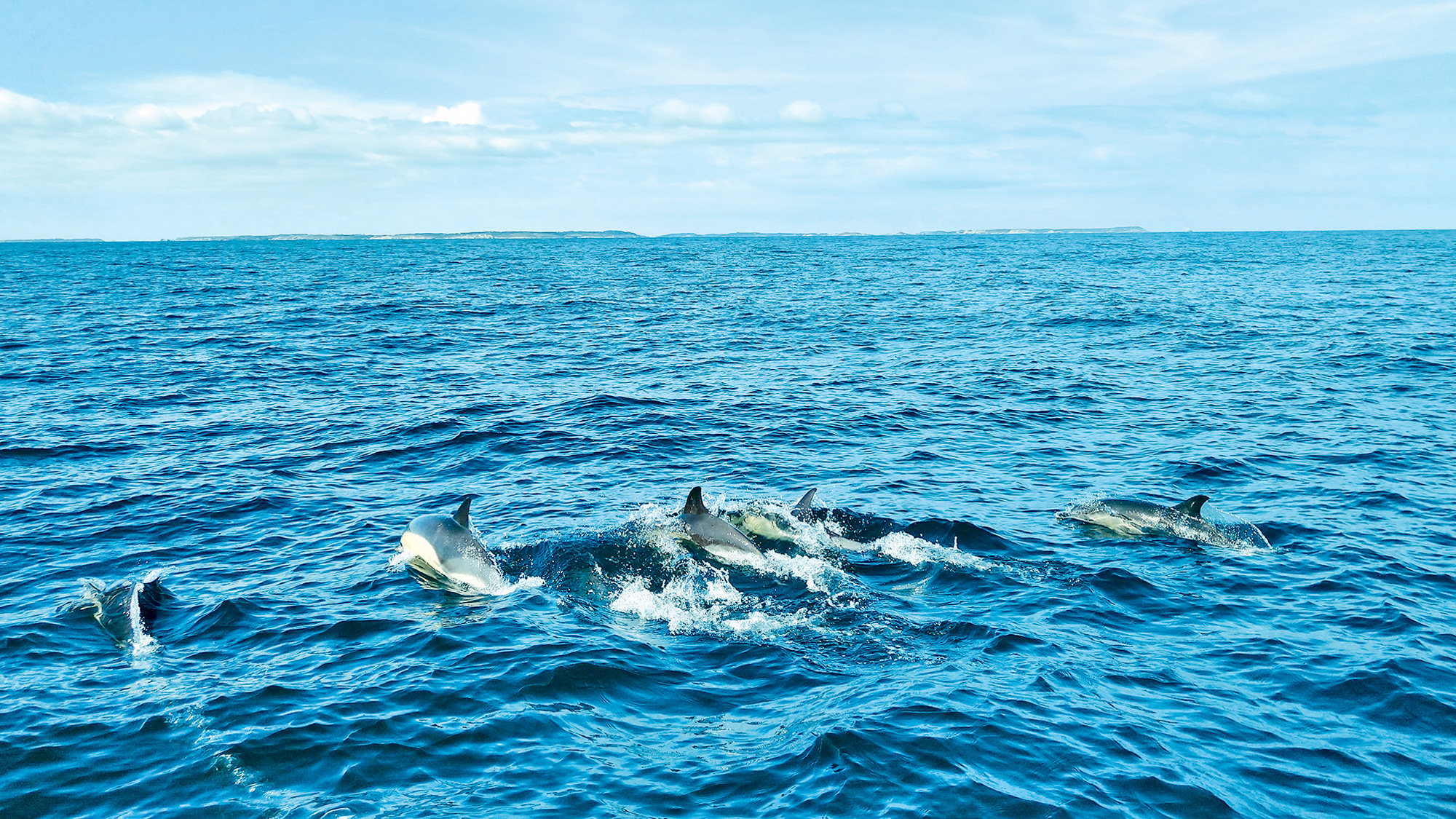 How ancient navigation techniques can still help sailors today ...