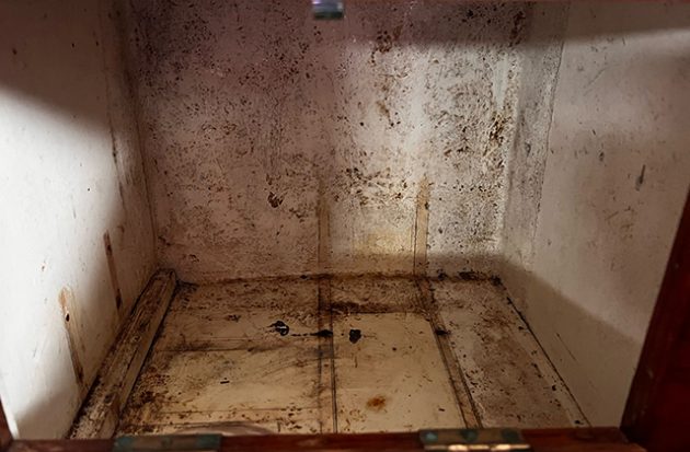 I tried Grunt boat cleaner and my boat has never looked so clean ...