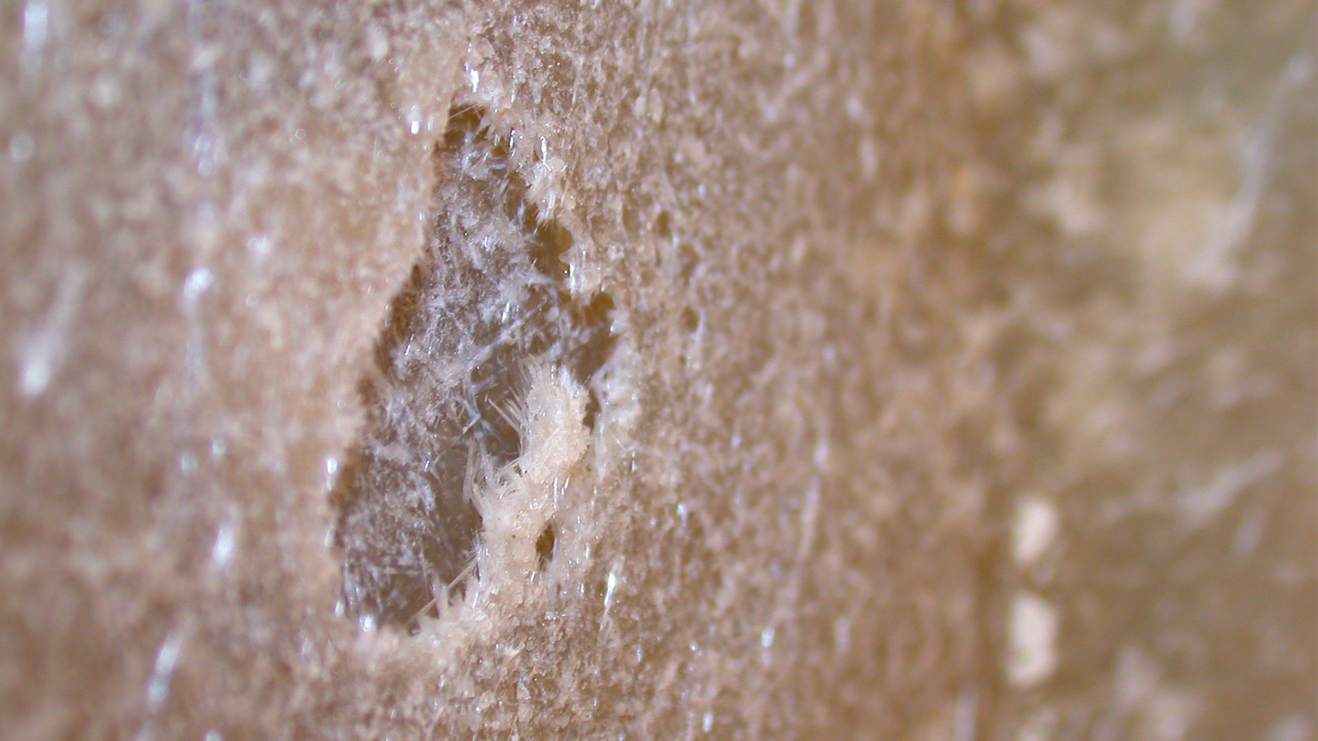 Keeping your boat afloat: how to find and fix hull moisture