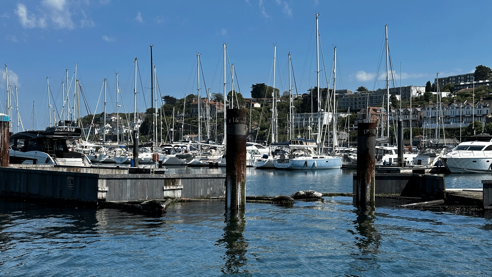 How to learn to sail: Catching the sailing wave