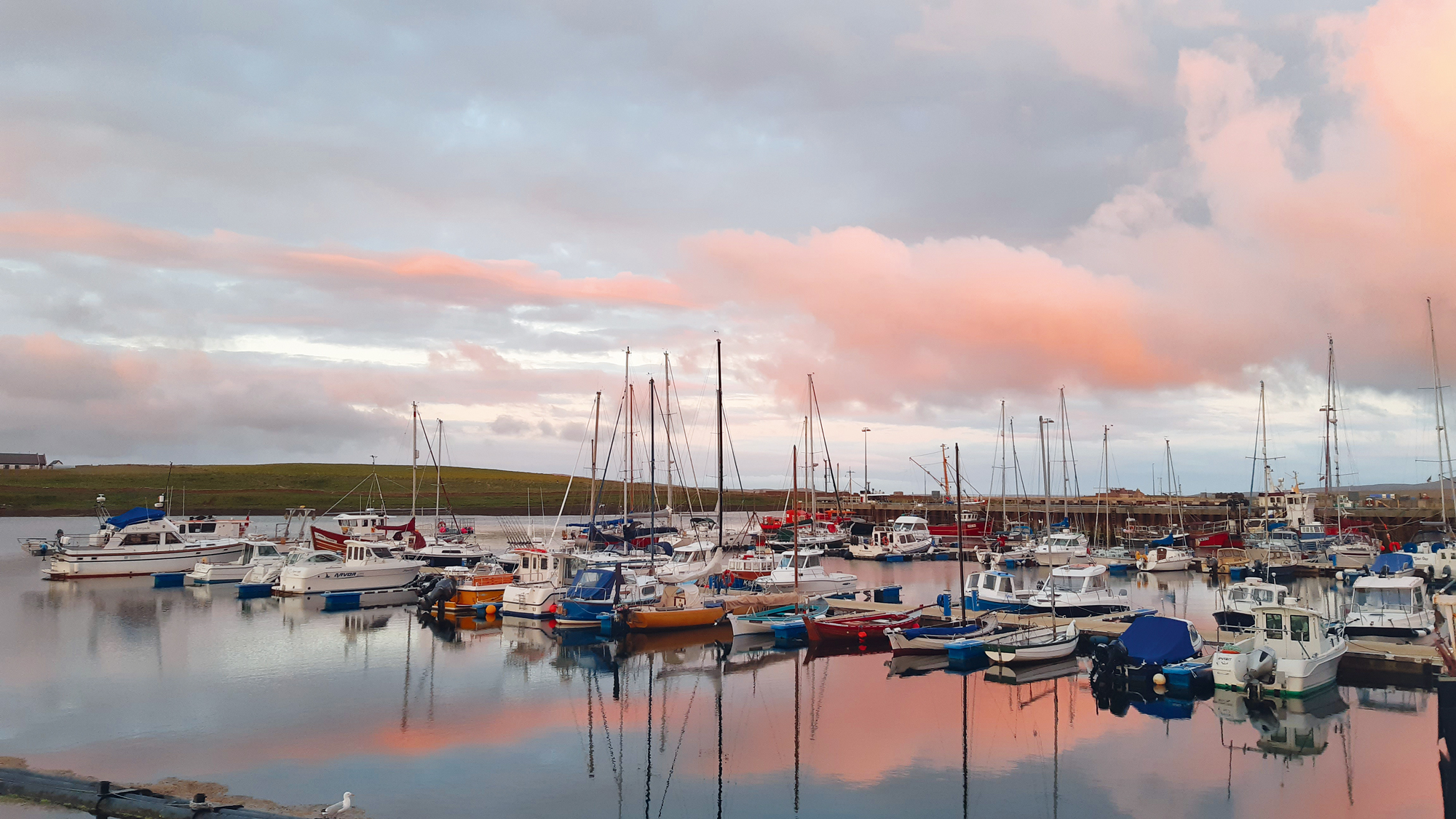 Sailing the Orkneys: 'Bryan saw a tall black fin breaking the water ...