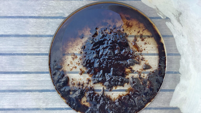 Diesel bug: How to get rid of it and why it's getting worse