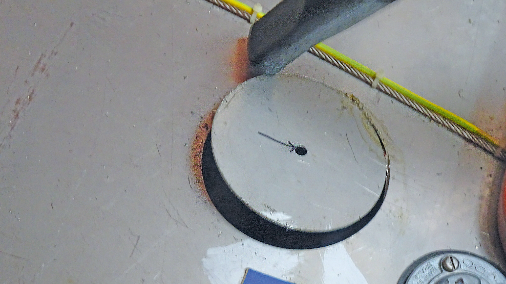 Diesel bug: How to get rid of it and why it's getting worse