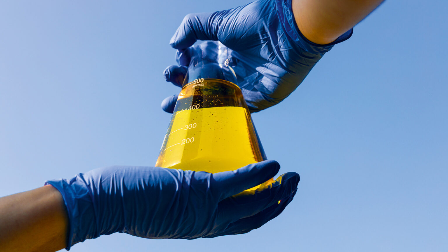 Diesel bug: How to get rid of it and why it's getting worse