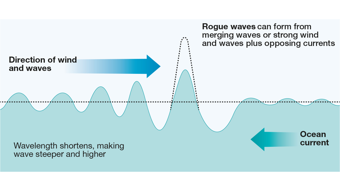 Rogue waves! What can they teach us about managing risk at sea ...