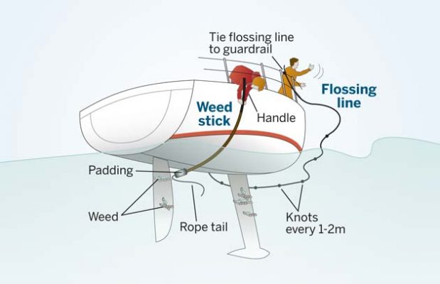 5 tips: how to deal with weed on an offshore race