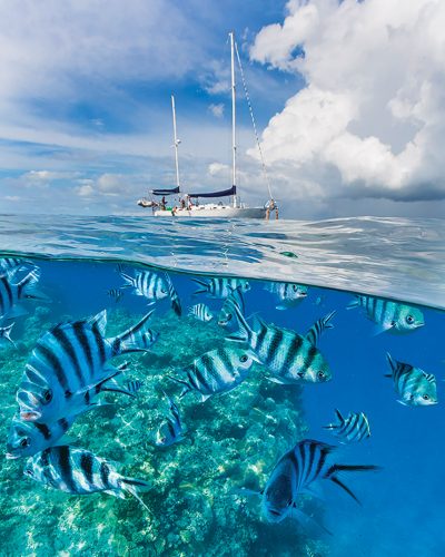 Expert advice: How to sail across the Pacific Ocean - Yachting World