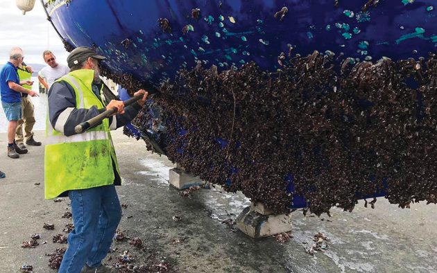 How extreme barnacle growth hobbled the 2018-19 Golden Globe Race fleet