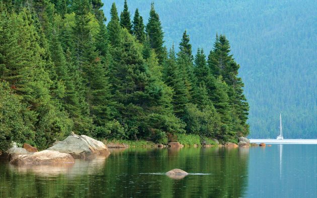 Cruising around Newfoundland: An unspoiled wilderness full of surprises