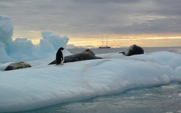 The adventures of Infinity: Sailing to Antarctica on a 120ft handmade ketch