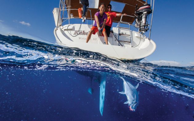 Caribbean sailing: Top tips from two years exploring this cruising paradise