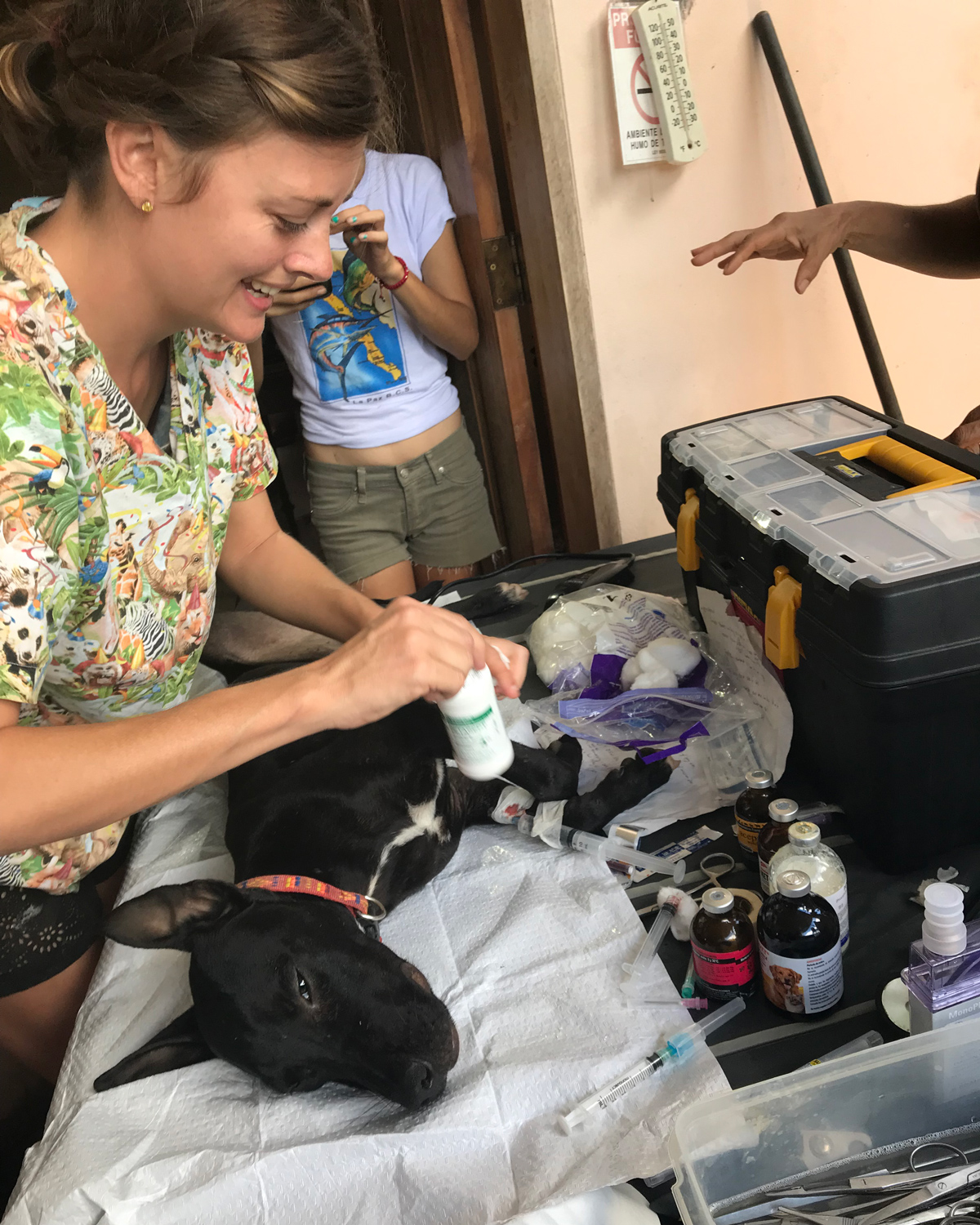 Sailing Panama: Exploring idyllic islands just miles from the famous canal