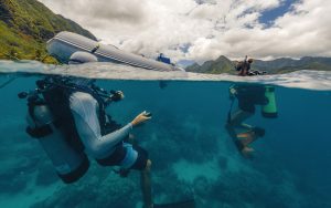 Diving from a boat – advice from the experts - Yachting World