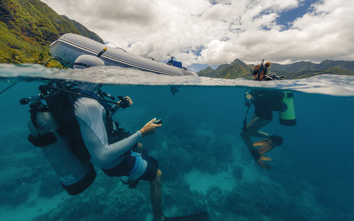 Diving from a boat – advice from the experts - Yachting World