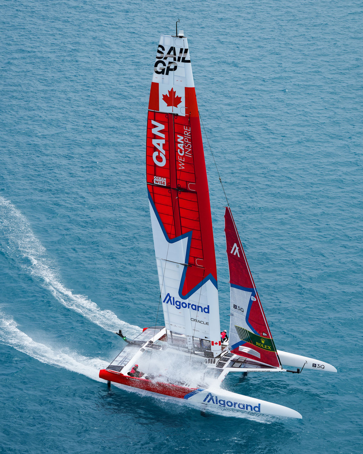 Algorand and Canada SailGP Team partner up for a sustainable future for ...
