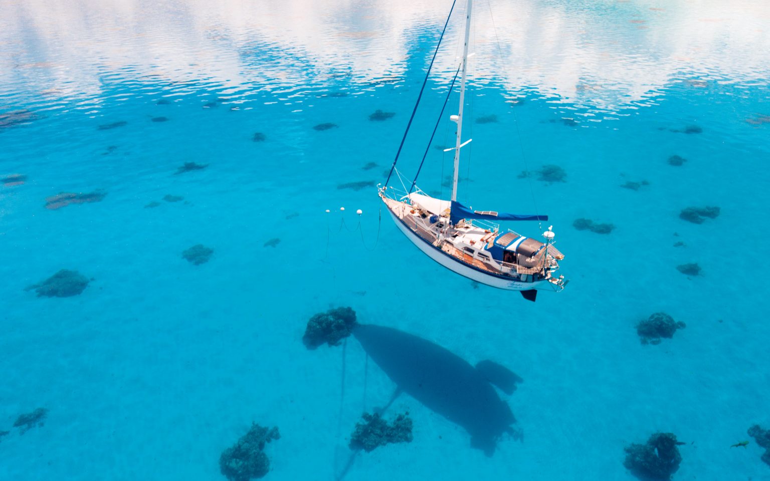 Eco-friendly anchoring: how to preserve the seabed - Yachting World