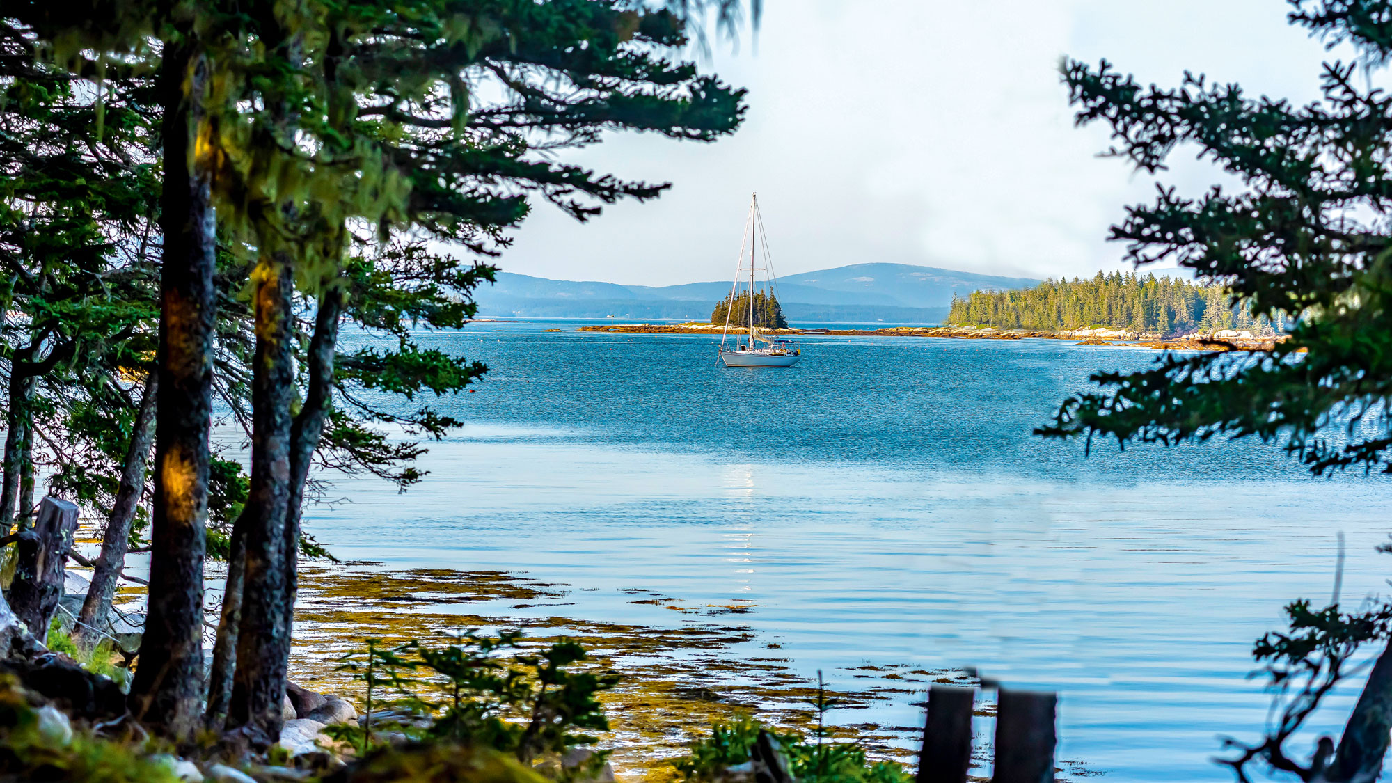 Cruising Maine: a coast of mist and isles - Yachting World