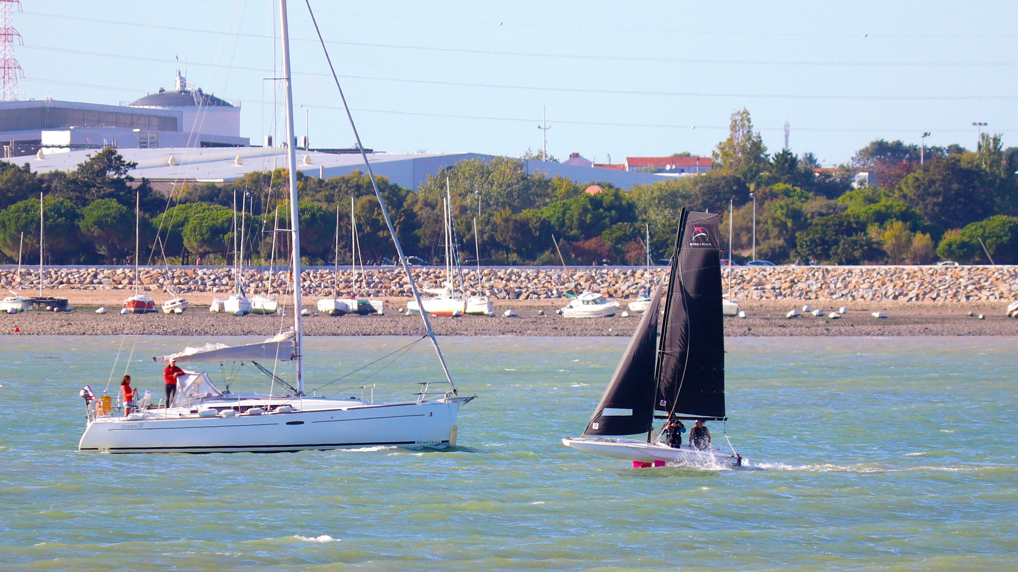 Sailing the new foiling Birdyfish dinghy - Yachting World