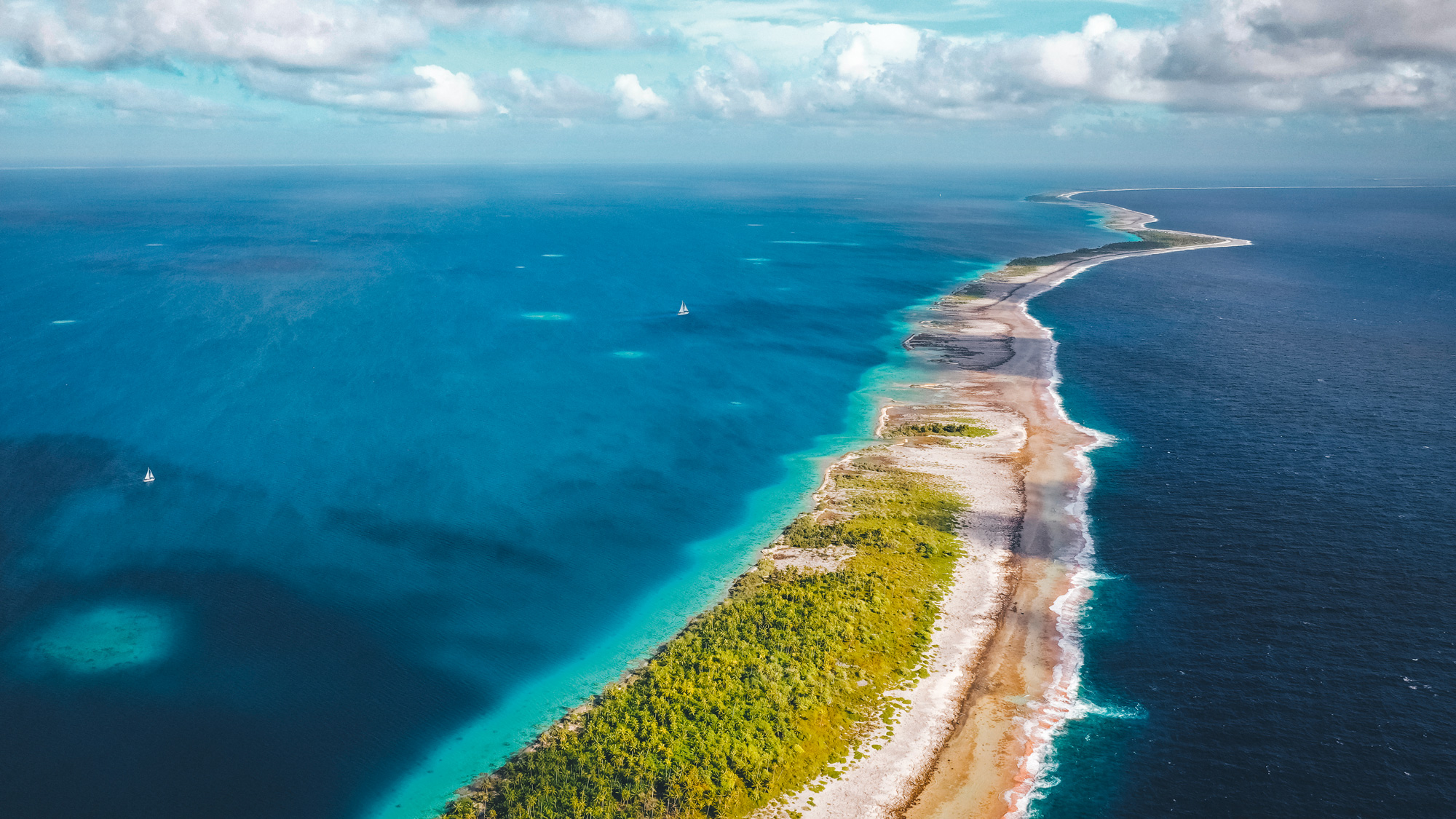 Into the deep: Diving with sharks in French Polynesia - Yachting World