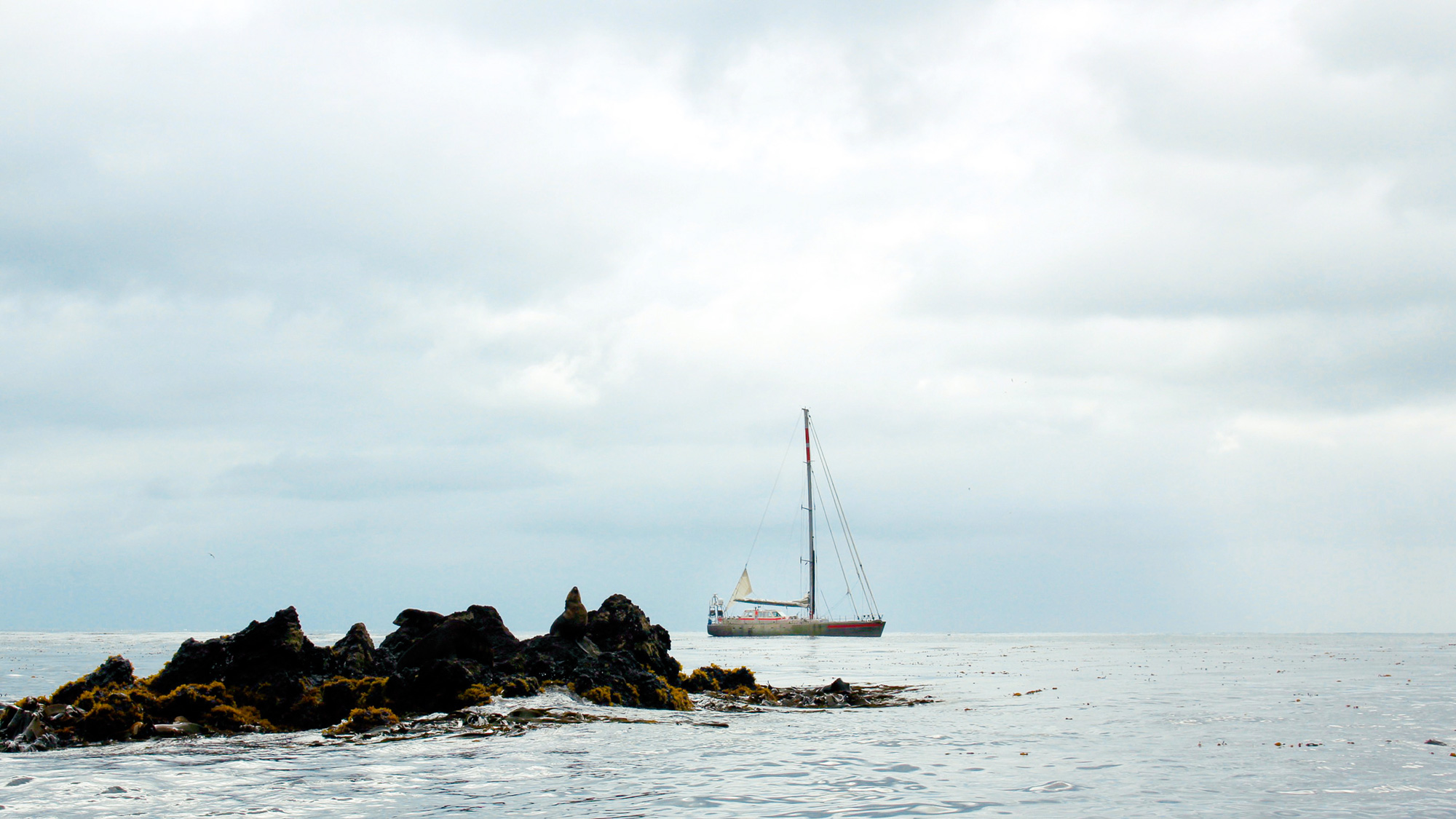 Skip Novak’s Mission to Save the Albatross - Yachting World