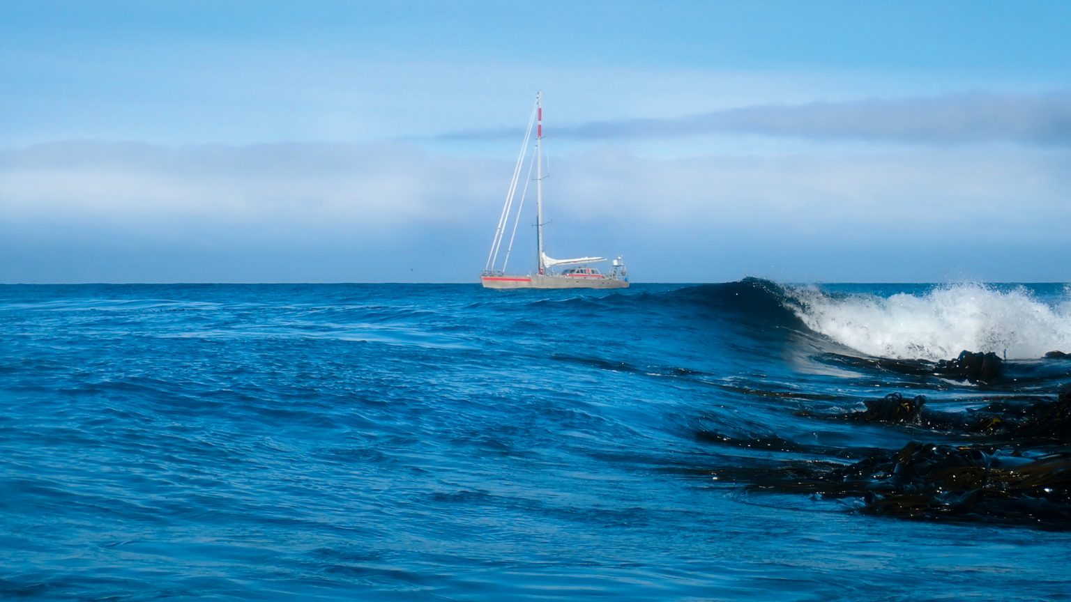 Skip Novak’s Mission to Save the Albatross - Yachting World