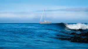 Skip Novak’s Mission to Save the Albatross - Yachting World