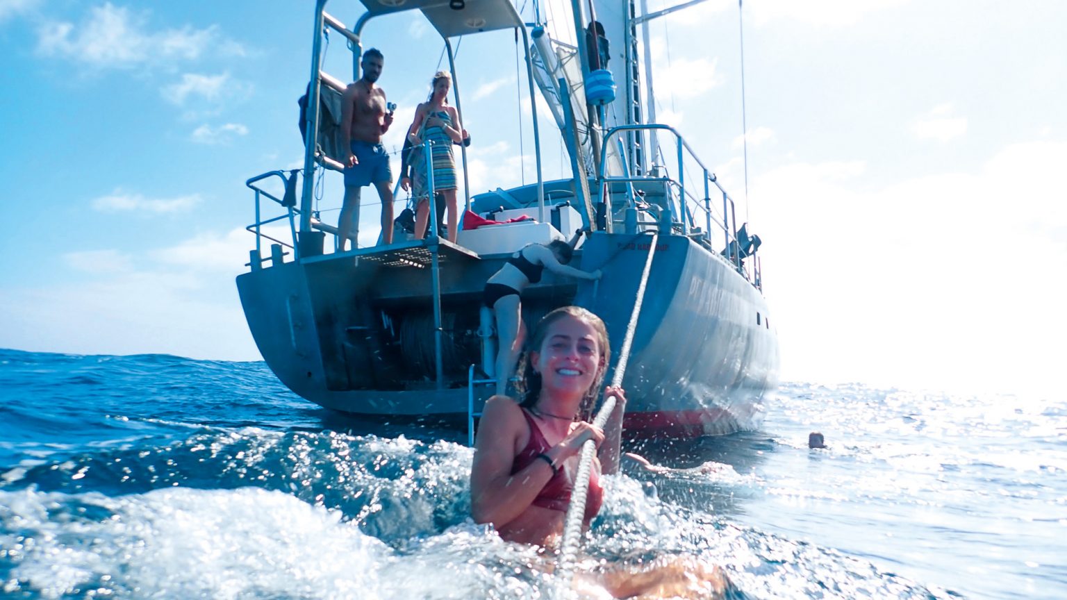 Skip Novak’s Mission to Save the Albatross - Yachting World